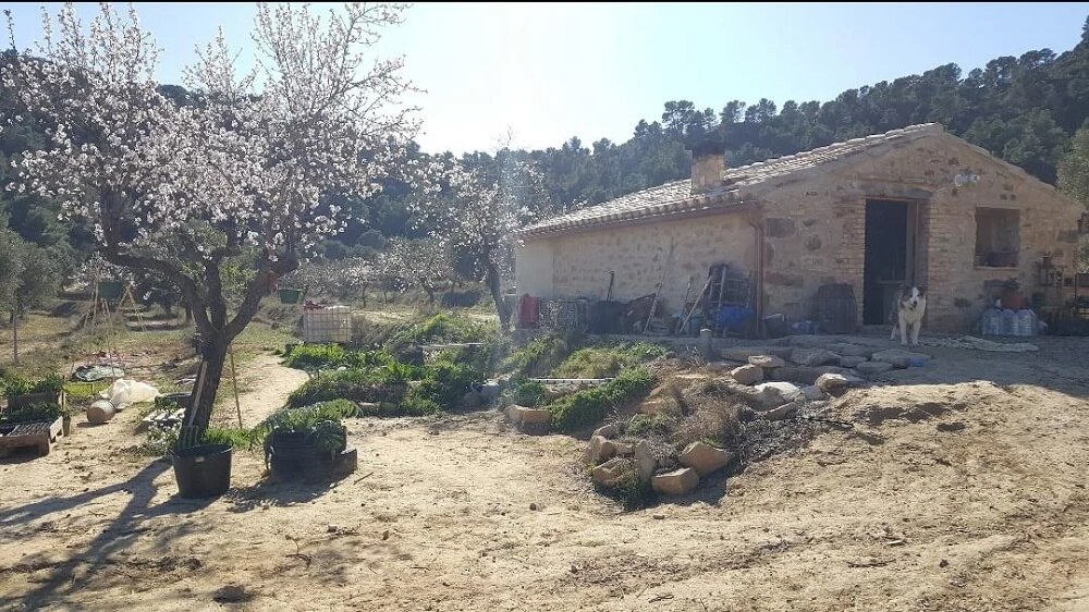 Off-grid homeowners spark inspiration with images of completely ...