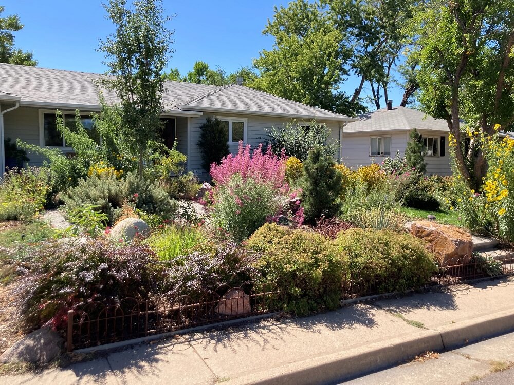 Homeowner stuns with before-and-after photos of landscaping transformation: 'I can't believe we ...