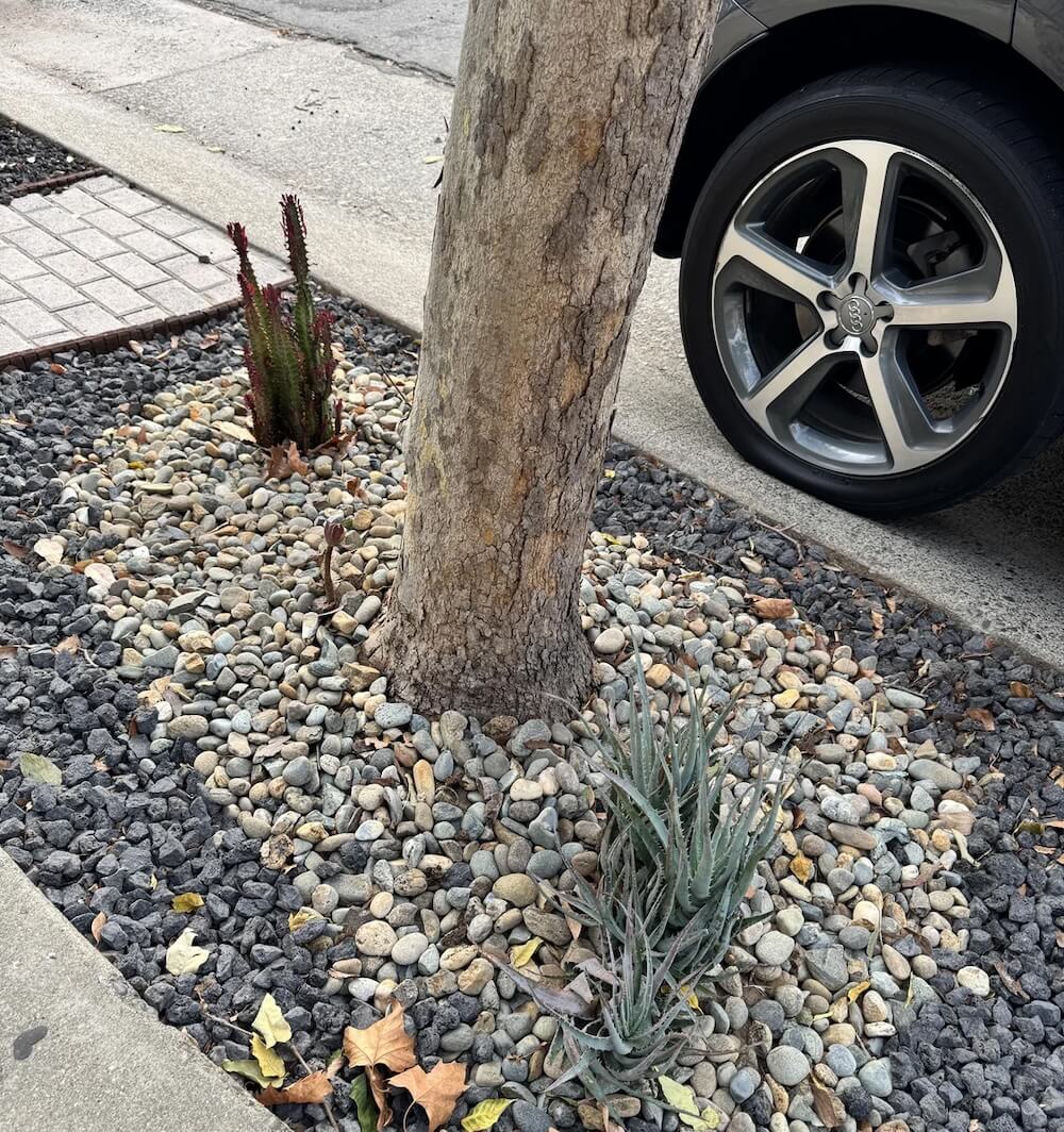 Homeowner raises concerns after sharing photo of controversial ...