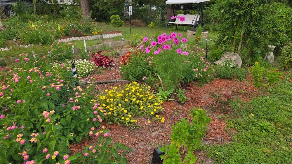 Homeowner shares eye-popping photos of unconventional yard ...