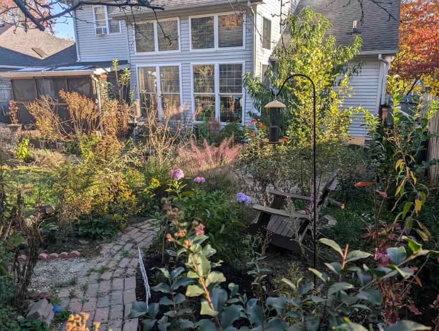 Homeowner shares breathtaking photo of yard after ditching traditional ...