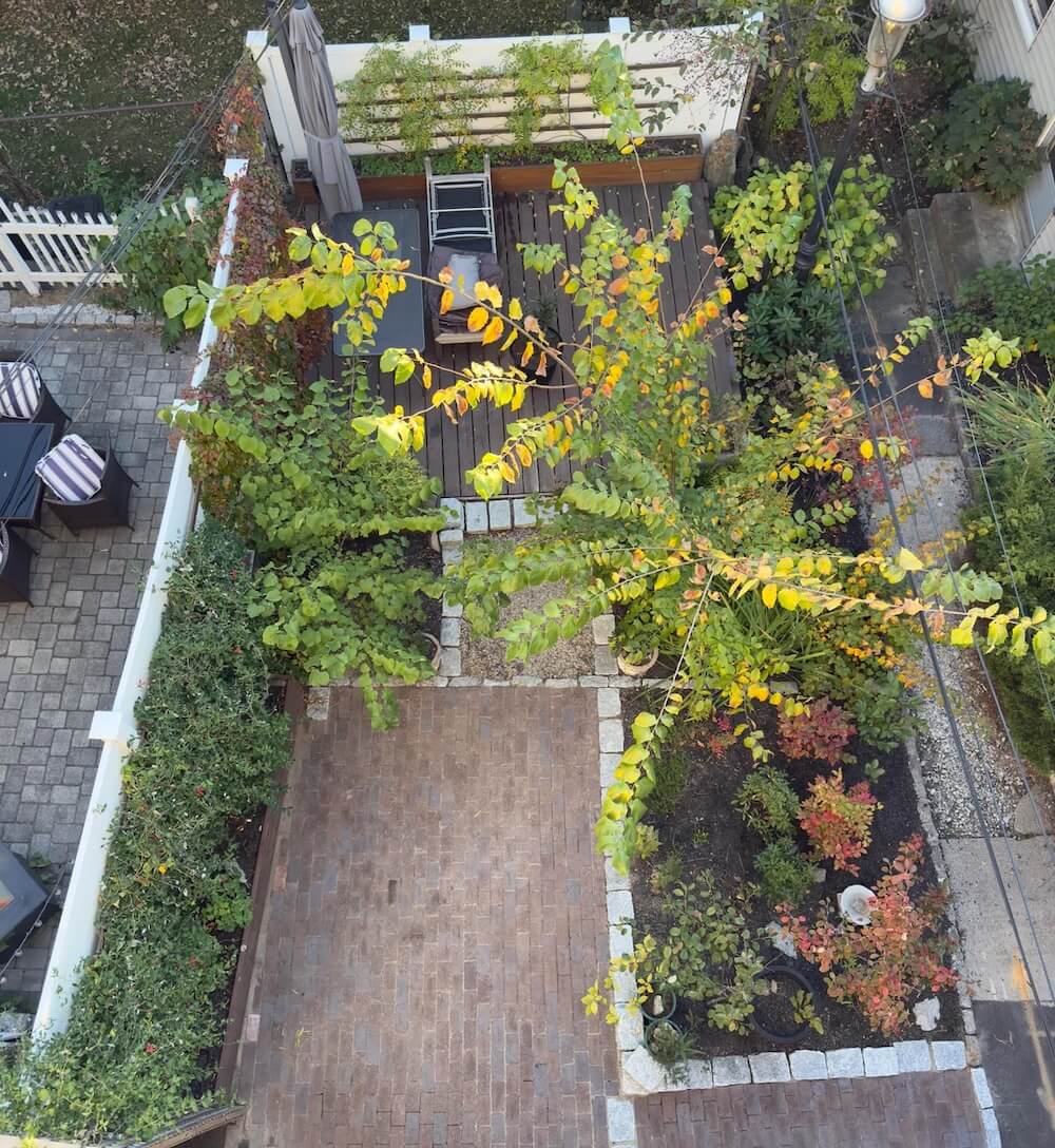 Homeowner shares aerial photo of untraditional garden transformation ...