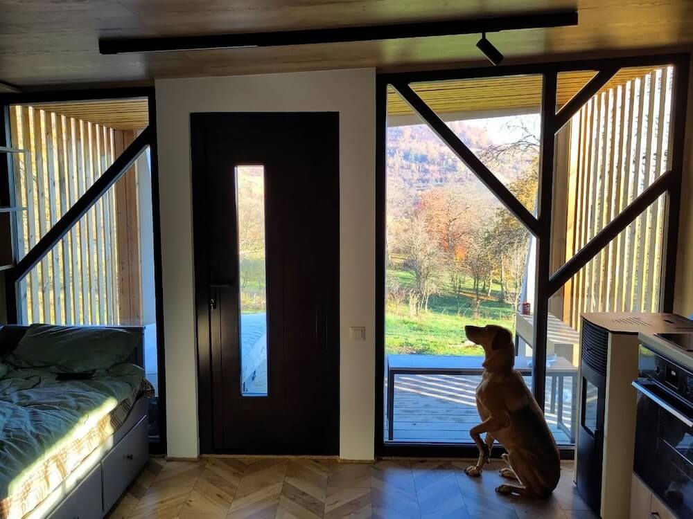 Homeowner stuns internet with 'wonderful' photo of newly built tiny ...