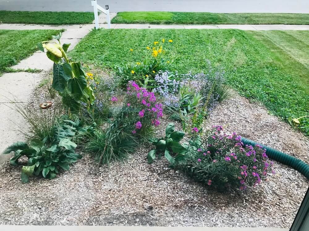 Homeowner shares stunning photo of unique lawn design just one year ...