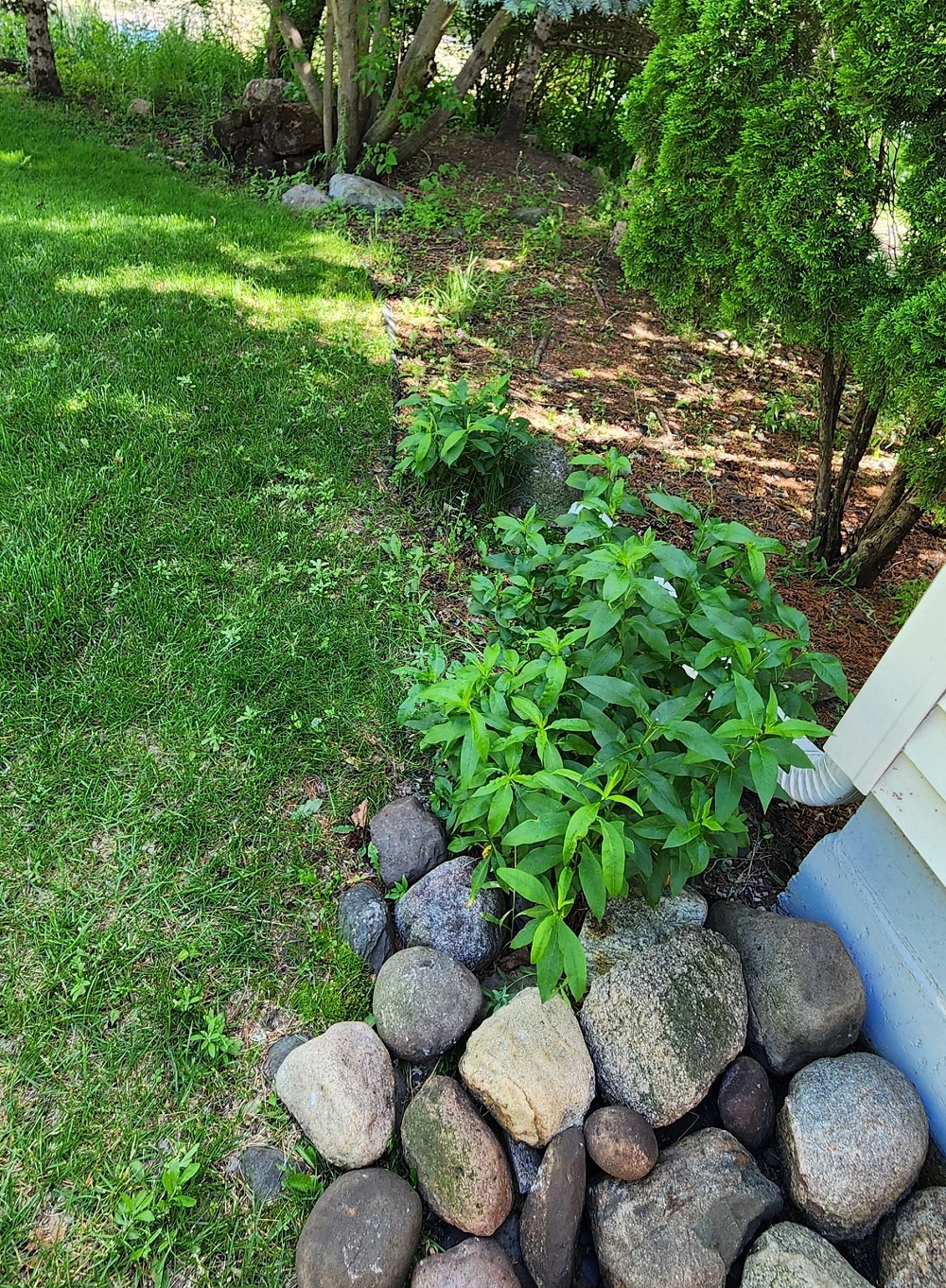 Homeowner receives urgent warnings after considering problematic ...