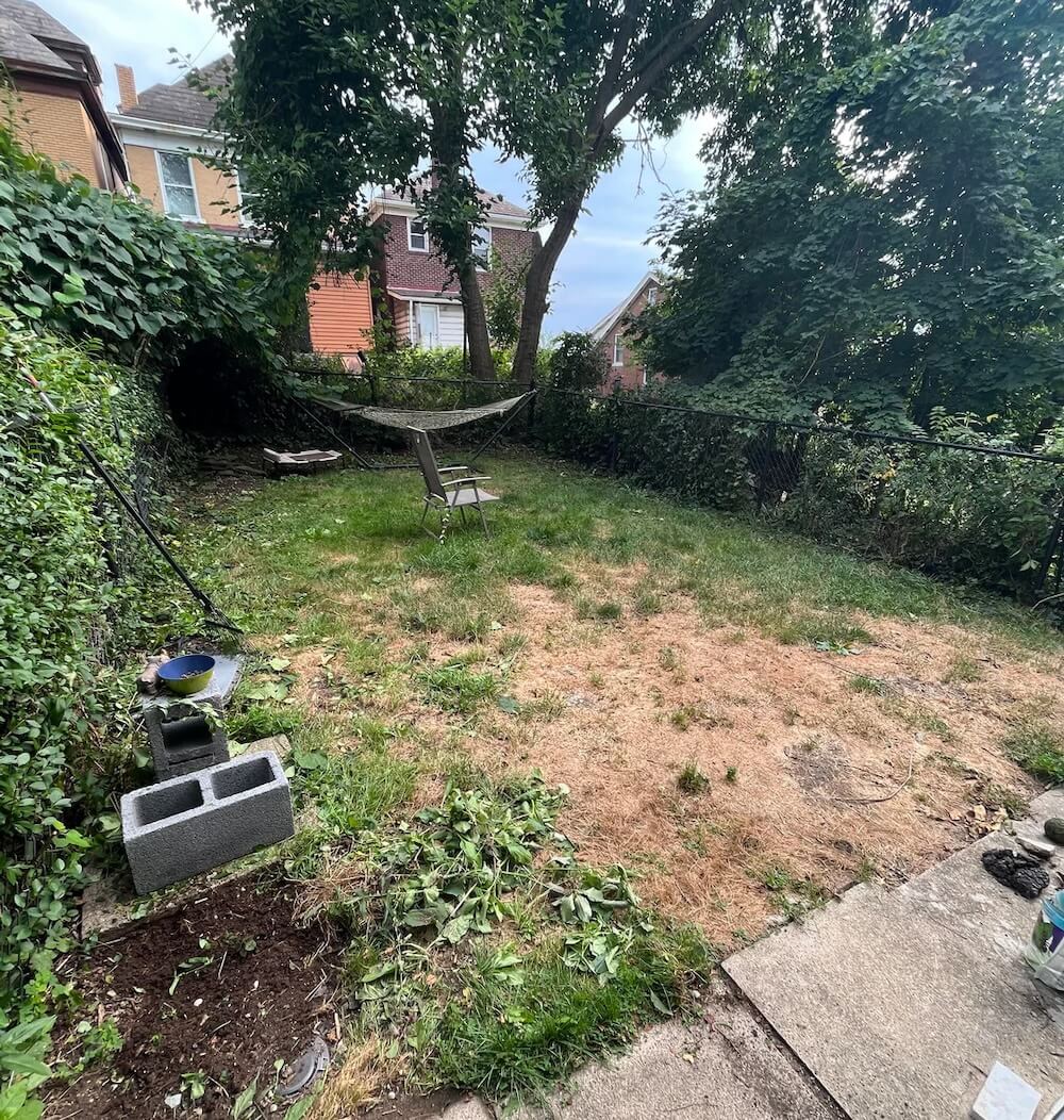 Homeowner shares before-and-after photos after transforming struggling ...