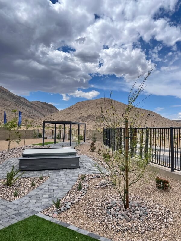 Homeowner shares stunning image of drought-resistant lawn alternative ...