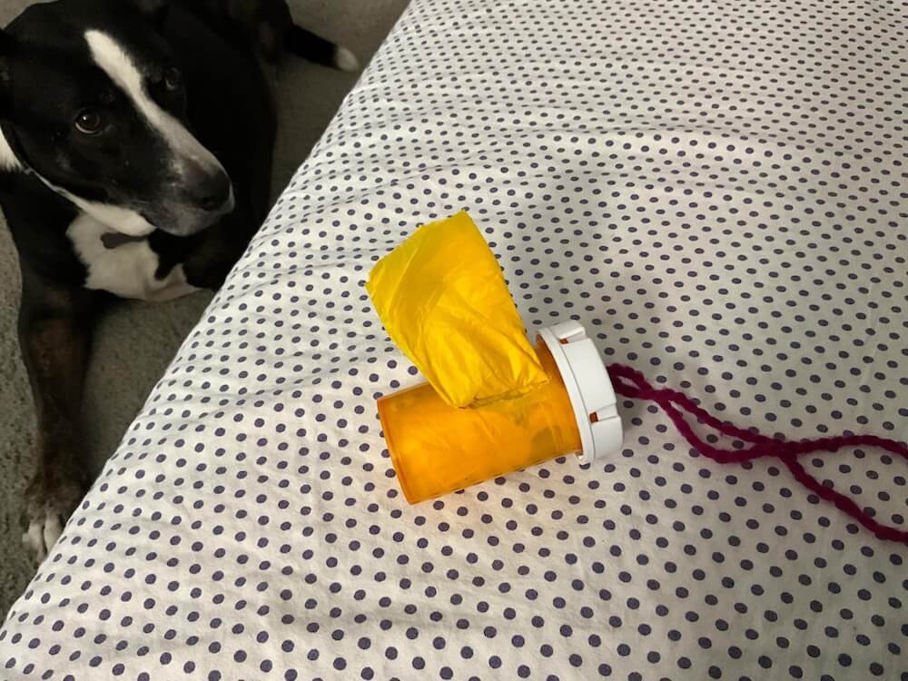 Pet parent shares 'brilliant' use for empty medication bottles: 'This ...