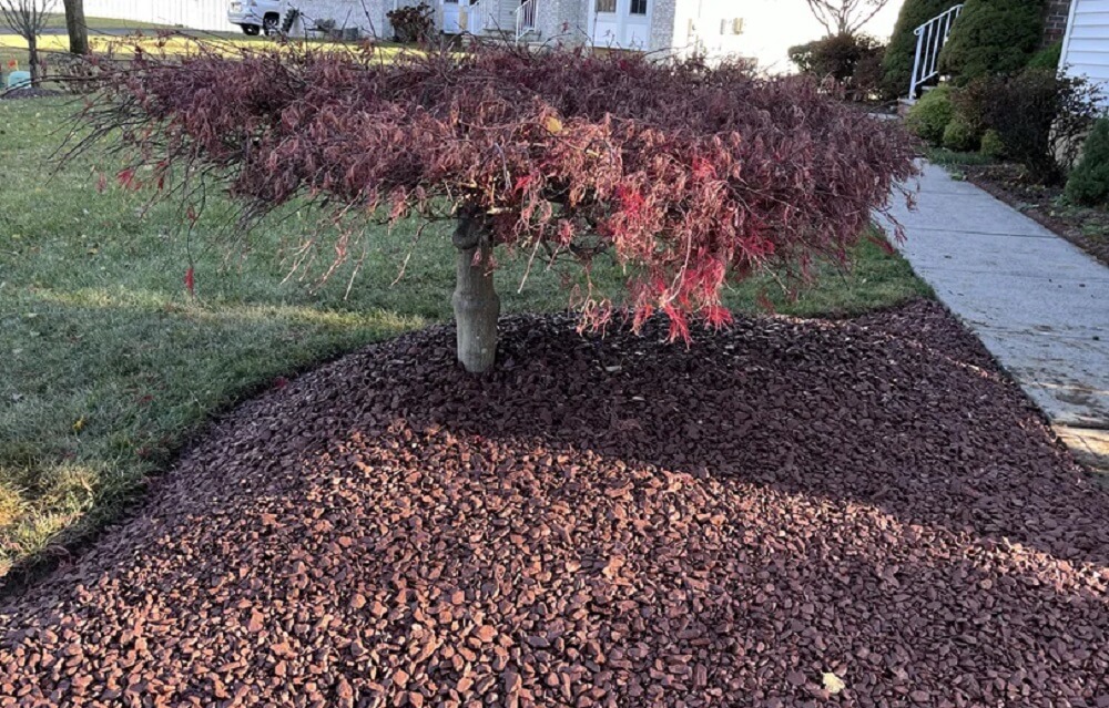 Homeowner sparks debate after sharing photo of landscaper's blunder ...