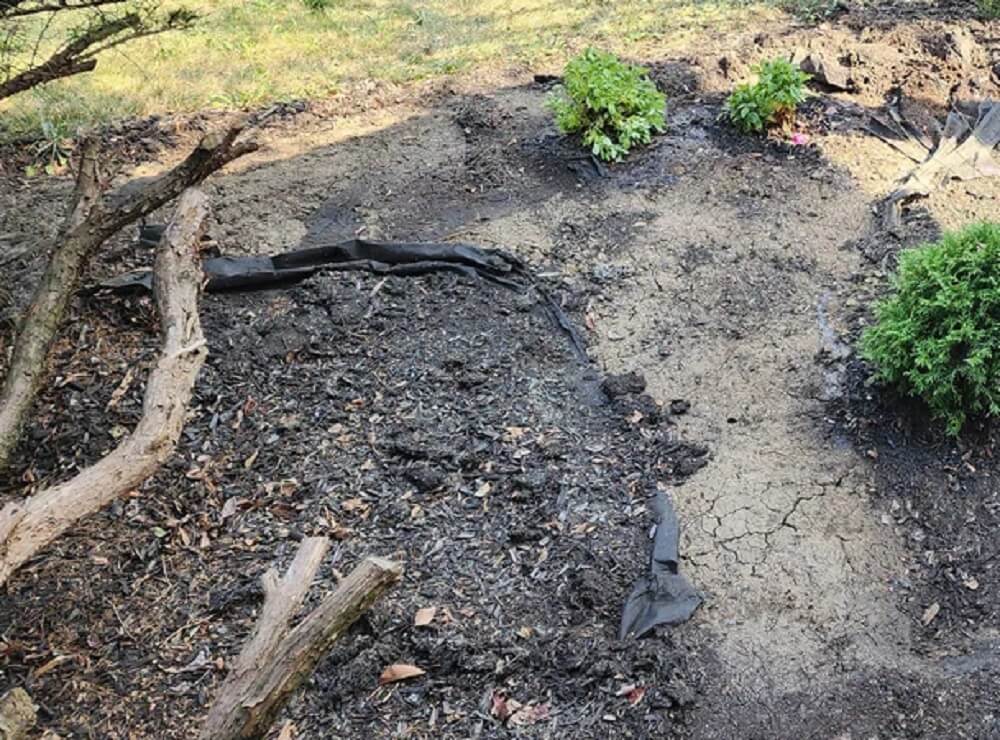 Gardener issues warning after perilous landscaping blunder: 'Refreshing ...
