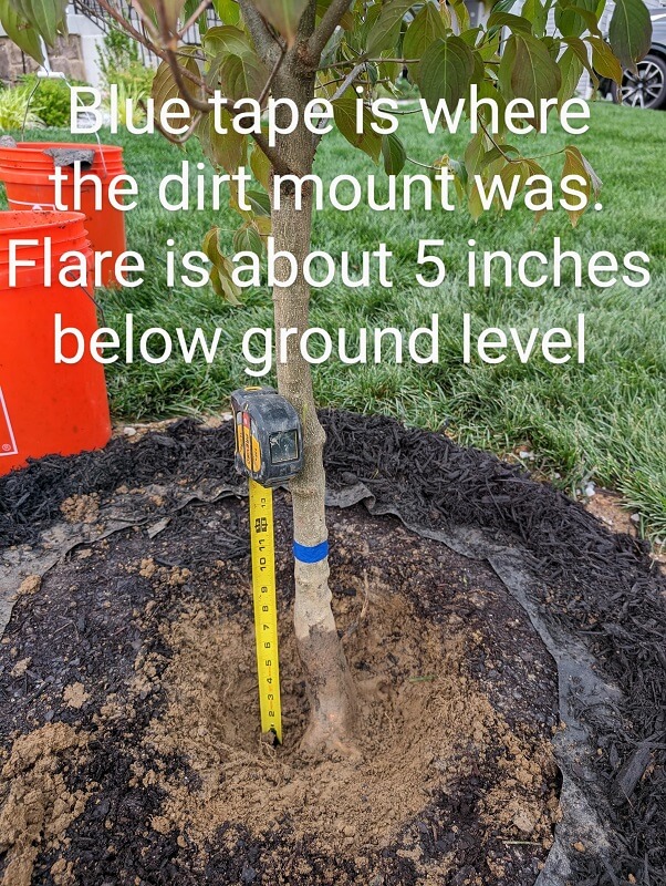 Homeowner raises concerns after noticing major error made by landscapers: 'I wish I had a ...