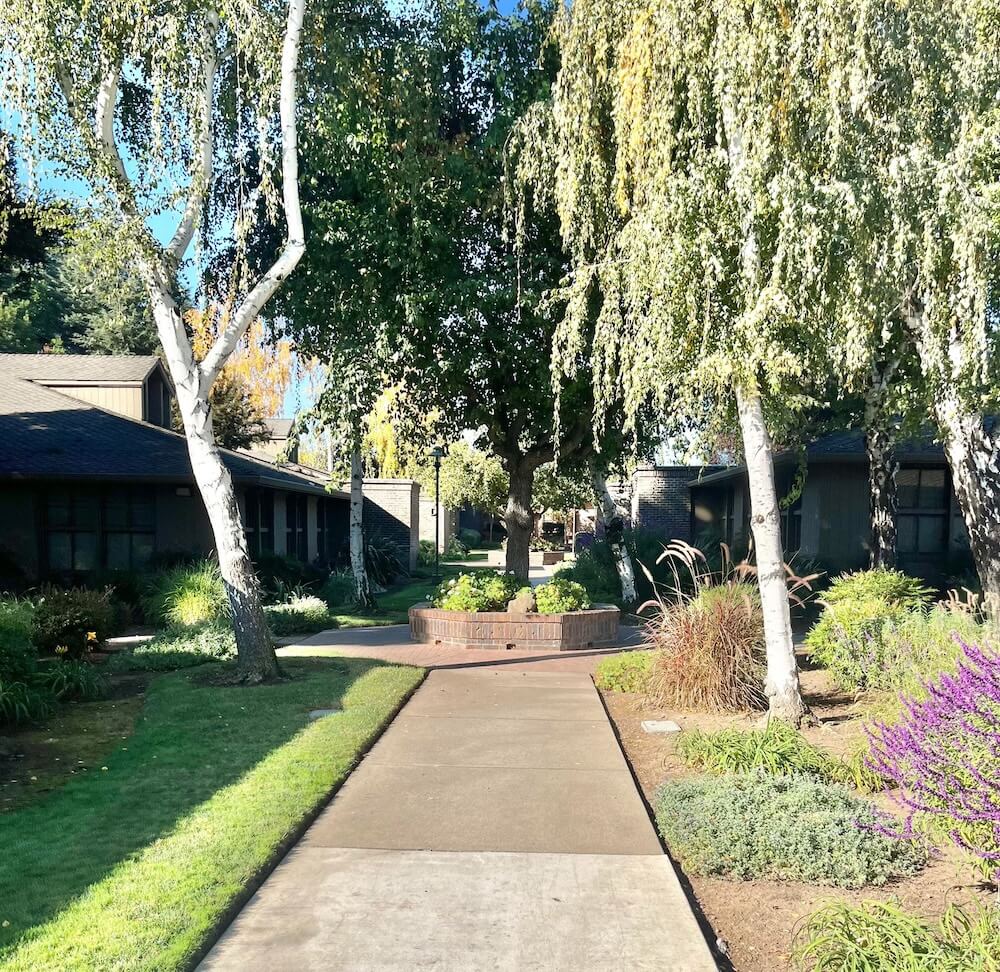 Passerby sparks discussion with photos of unique landscaping outside ...