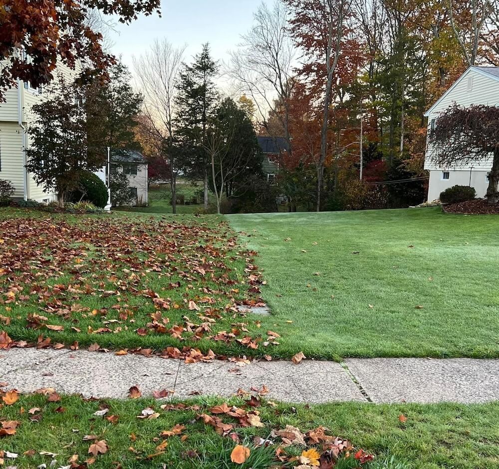 Resident exasperated over entitled neighbor's lawn care routine: 'It ...