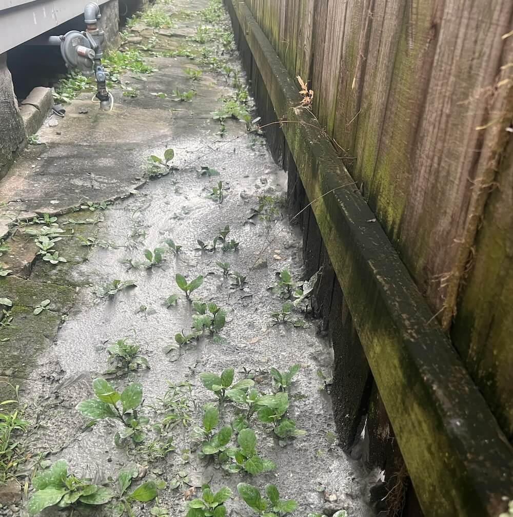 Homeowner alarmed after neighbor's renovation damages property: 'He did ...