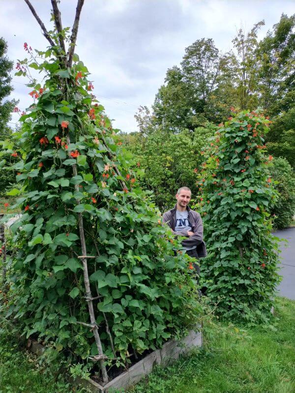 Homeowner shares amazing before-and-after of festive method to ...