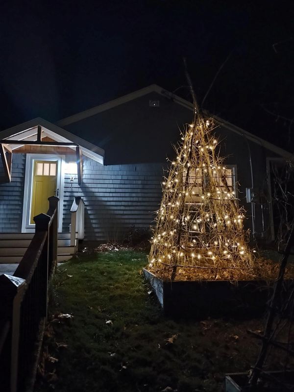 Homeowner shares amazing before-and-after of festive method to ...