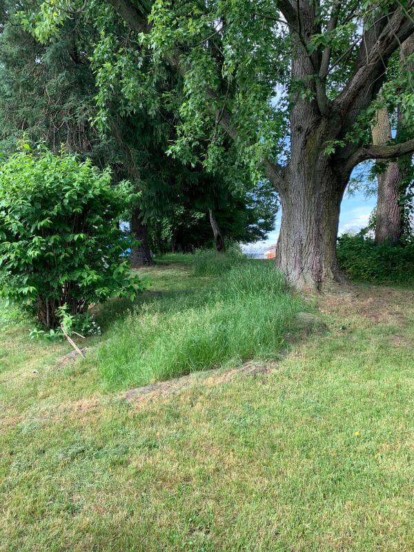 Homeowner seeks advice after neighbor complains about unconventional ...