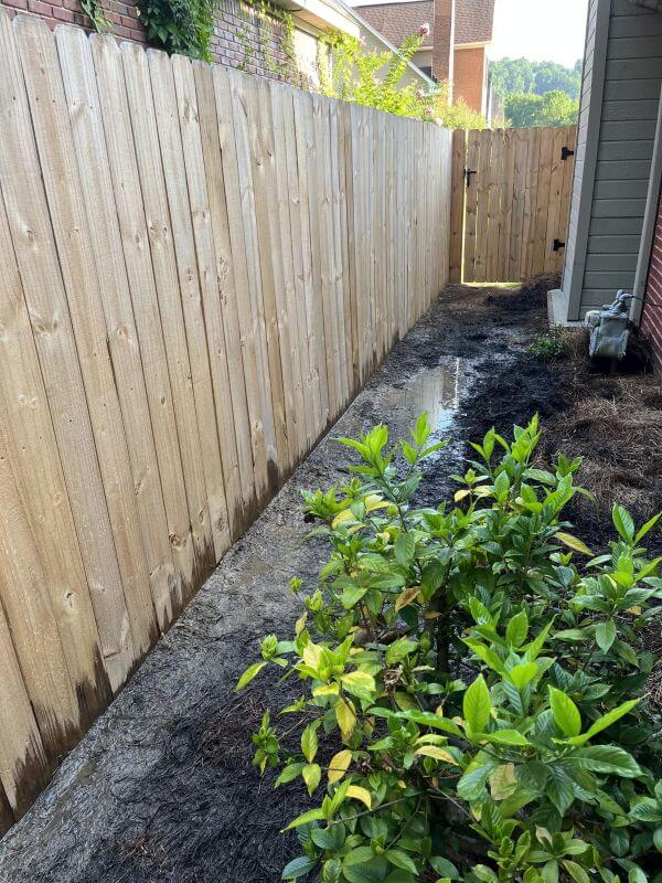 Homeowner shares frustrating problem with serious yard hazard: 'It may ...