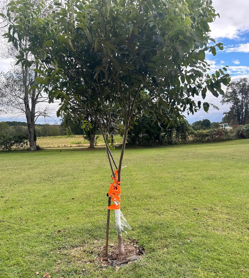Homeowner in distress shares image of their crumbling landscaping: 'Is ...