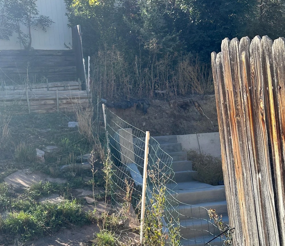 Homeowner questions neighbor's dangerous landscaping setup encroaching ...