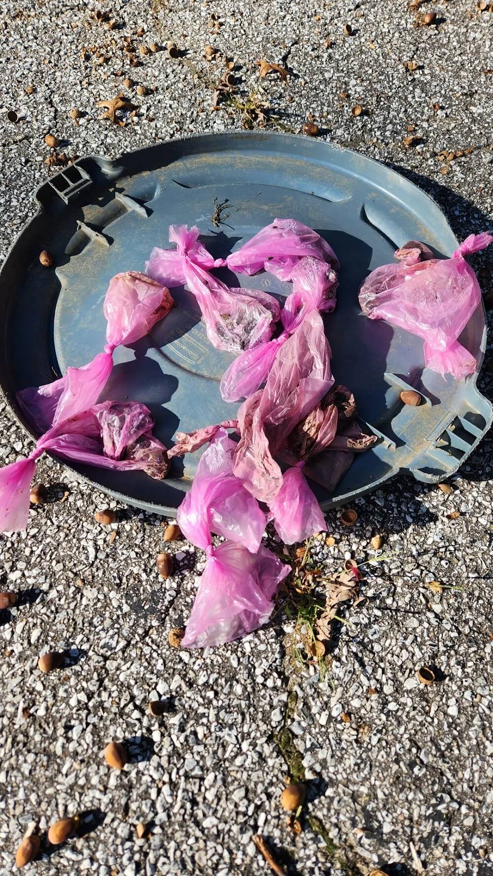 Disgusted homeowner fed up with neighbor continuously dumping trash in ...