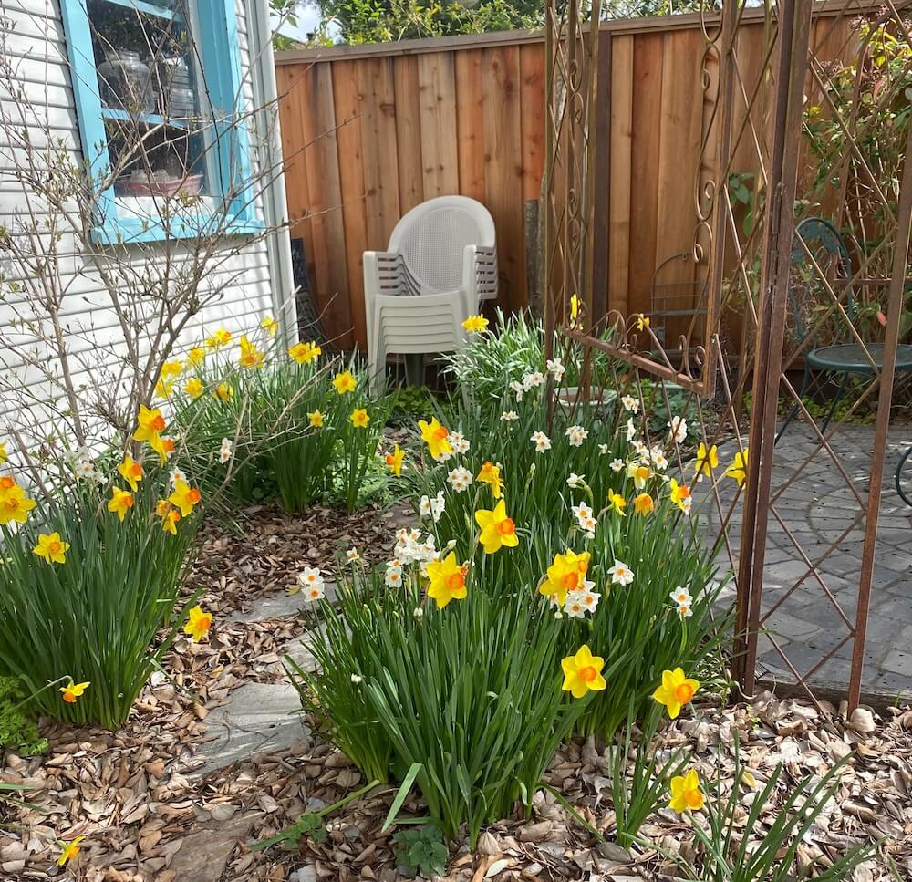 Photo of neighbor’s stunning garden goes viral for heartwarming reason ...