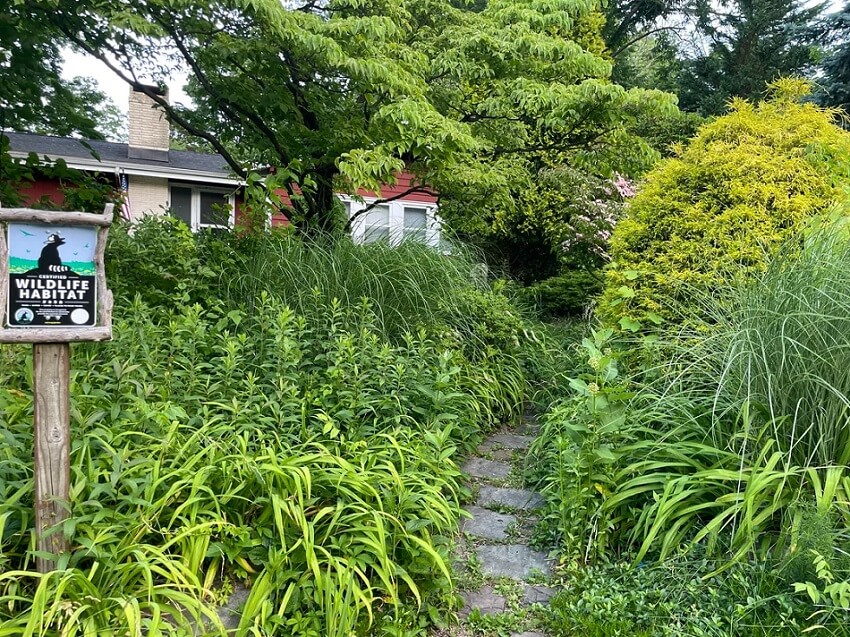 Gardener celebrates dad's remarkable transformation of outdated '90s ...
