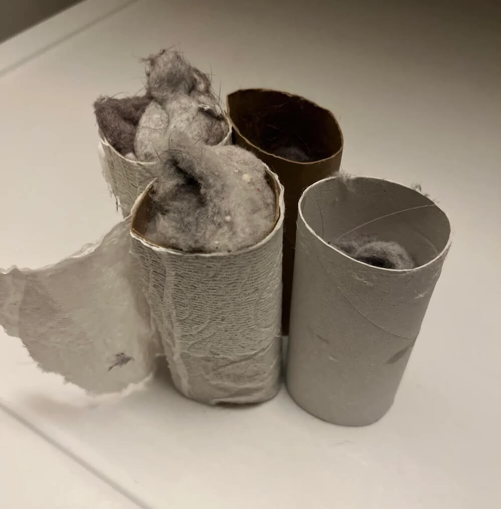 Homeowner shares money-saving trick to make use of old toilet paper ...