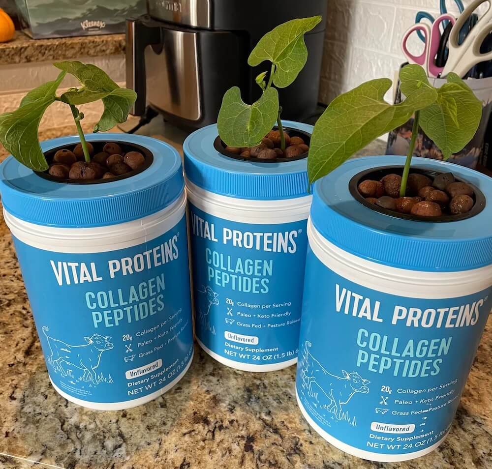 Gardener shares clever method for reusing old plastic containers ...