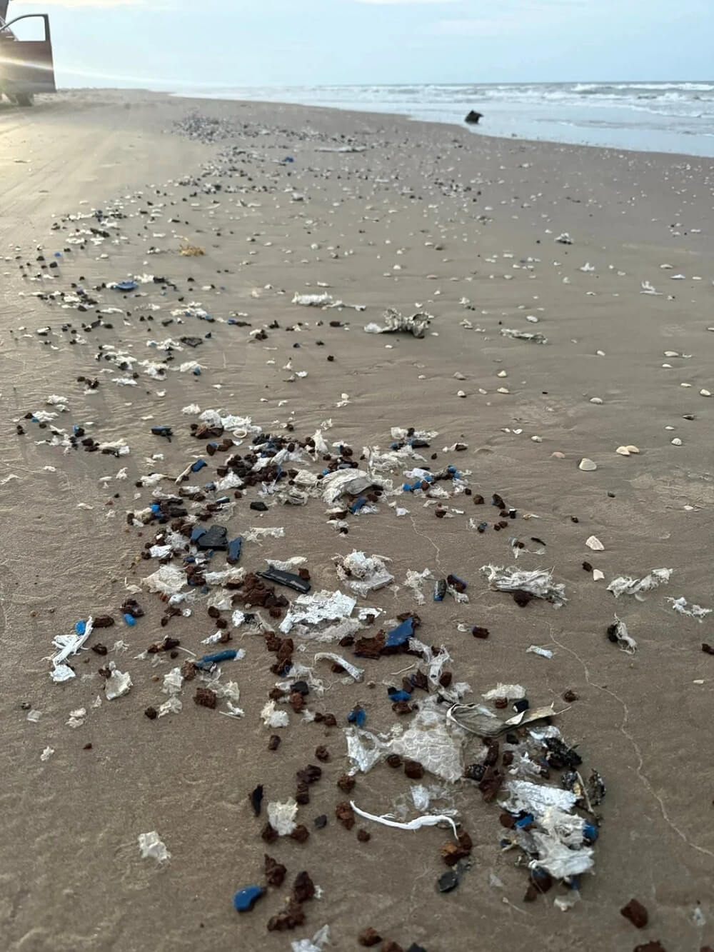 Beachgoer shares disturbing photos of unbelievable discoveries along ...