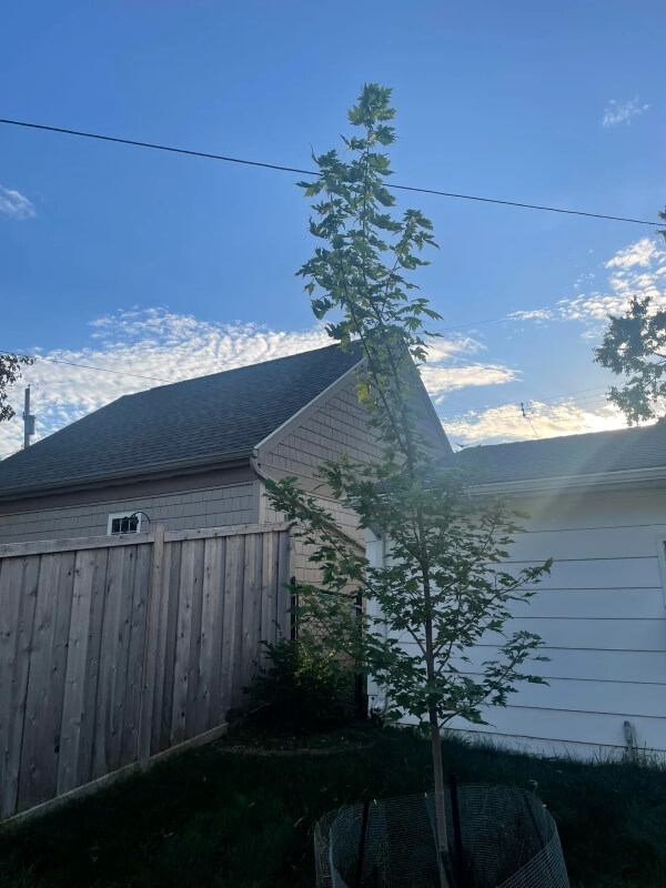 Homeowner frustrated after making troubling discovery while tending to ...