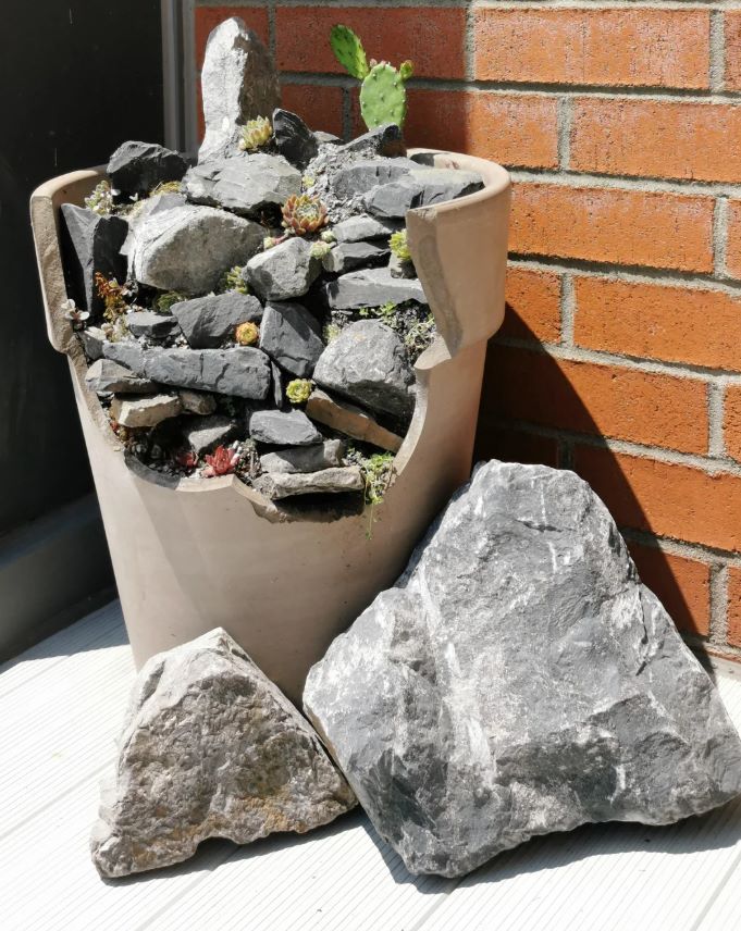 Homeowner shares photos after making creative use of broken flower pot ...