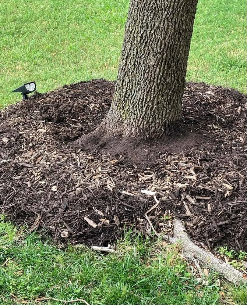 Concerned resident issues PSA after noticing alarming landscaping trend ...