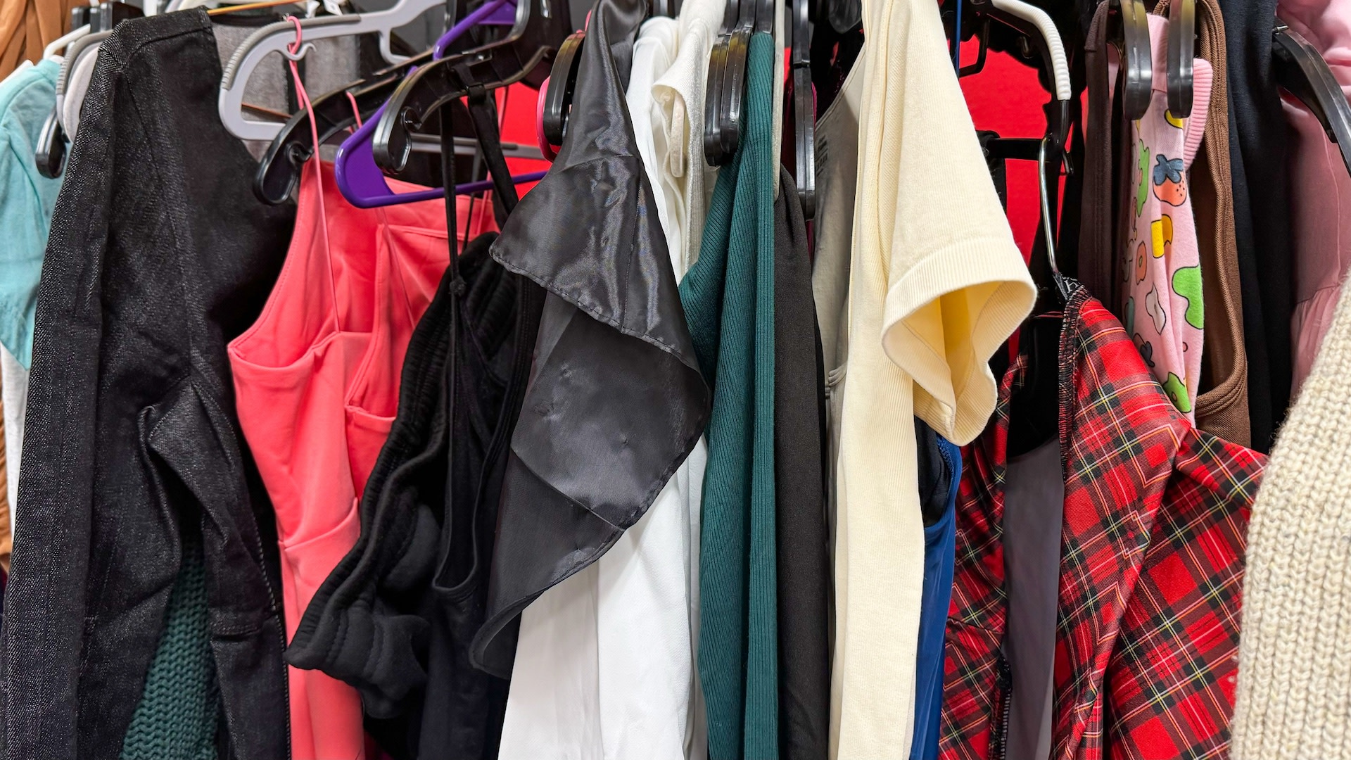 Goodwill worker shocked to find longtime white whale item while ...