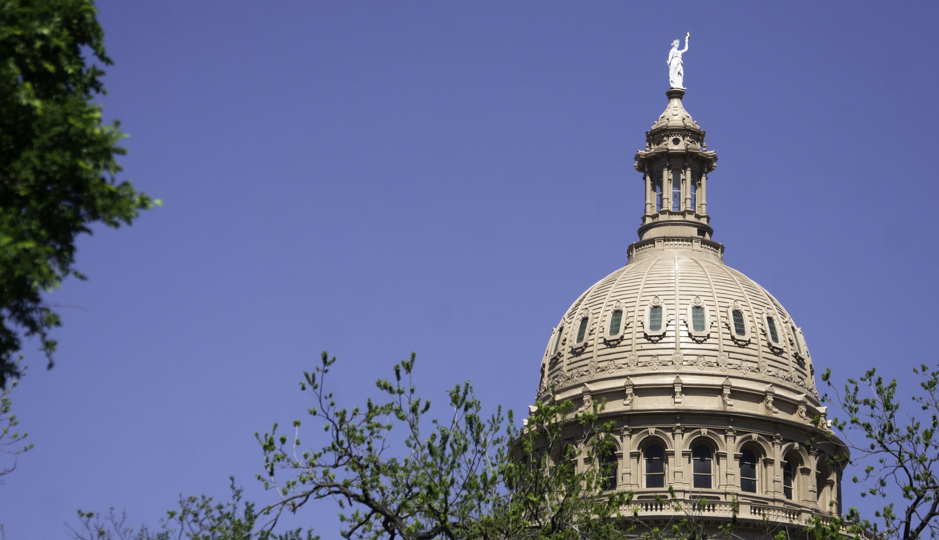 Lawmakers sound off on billionaire's selfish 'capture' scheme: 'It's ...