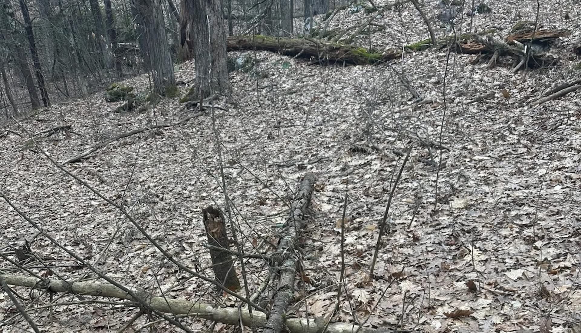 Hiker sparks outrage with photos of frustrating scene found in woods ...
