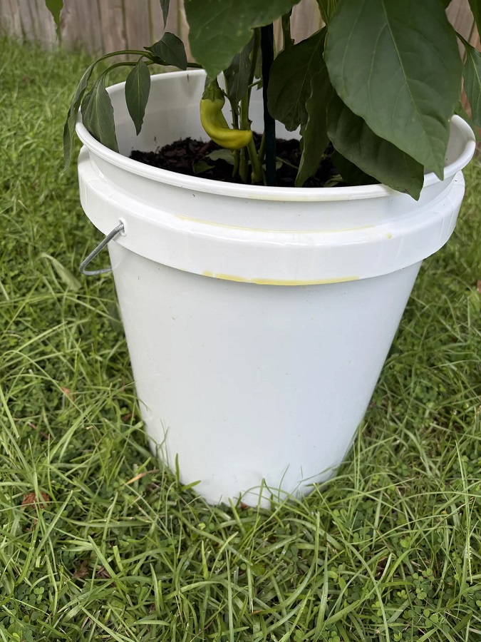 Homeowner outraged after catching neighbor's disrespectful behavior on ...