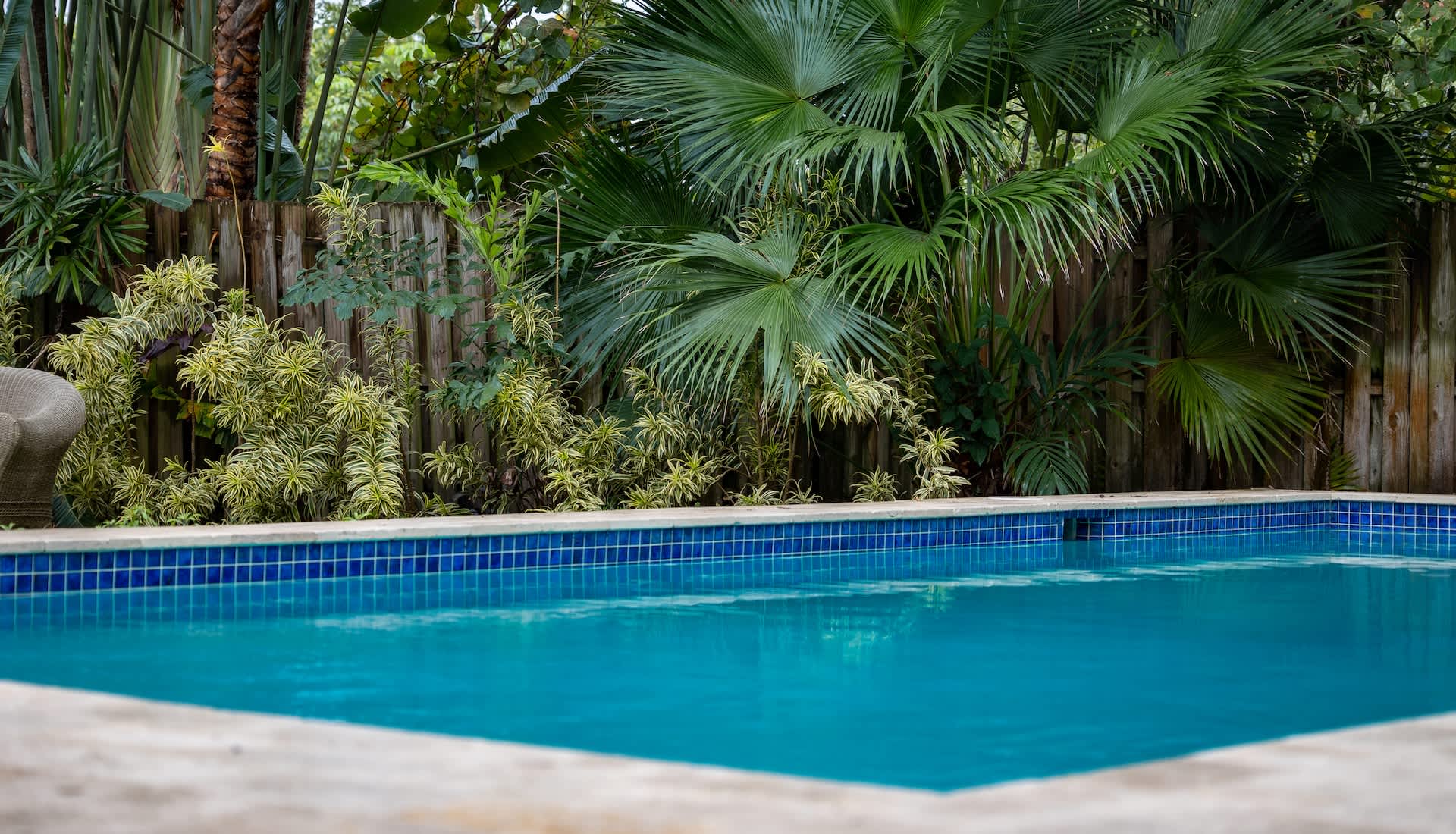 Bodycam footage shows deputy's encounter with alligator in backyard ...