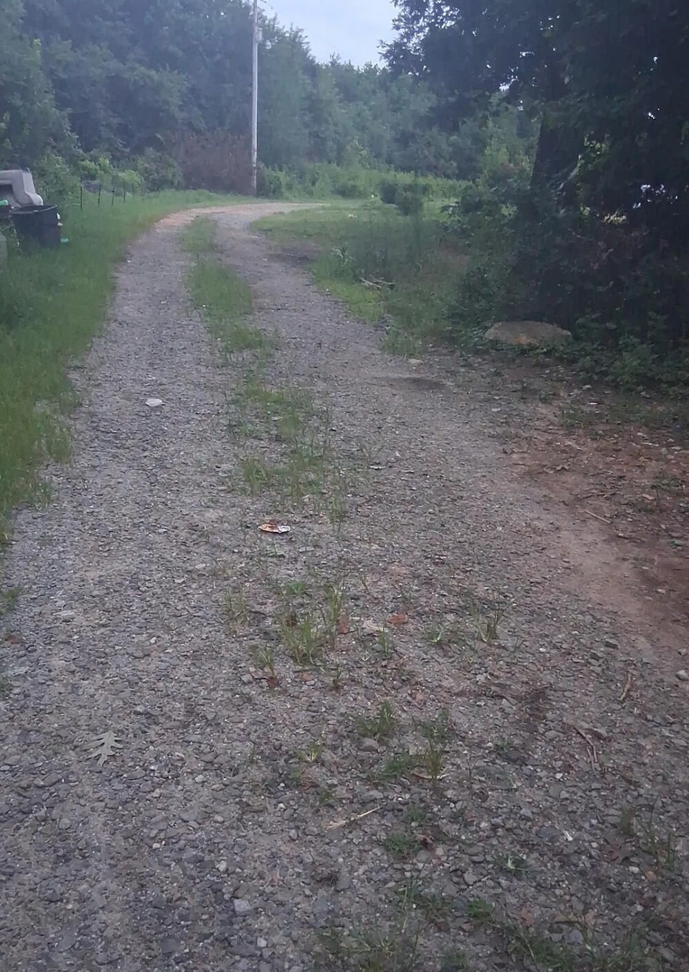 Homeowner alarmed after reckless neighbor risks their animals' health ...