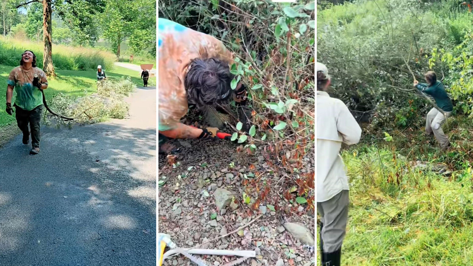 Group shares satisfying video ripping out harmful plants at local park ...