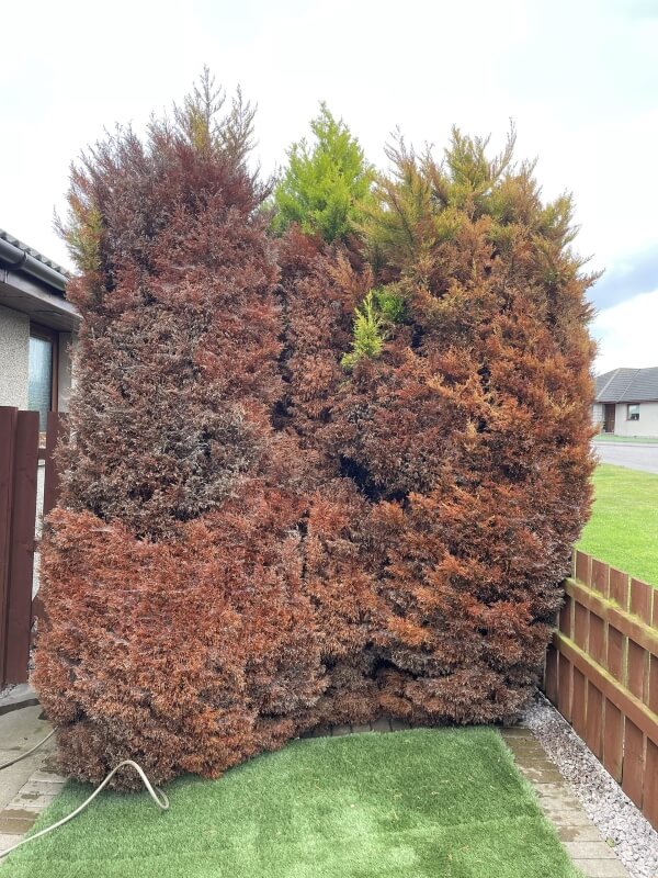 Gardener met with warnings after sharing photo of distressing scene in ...