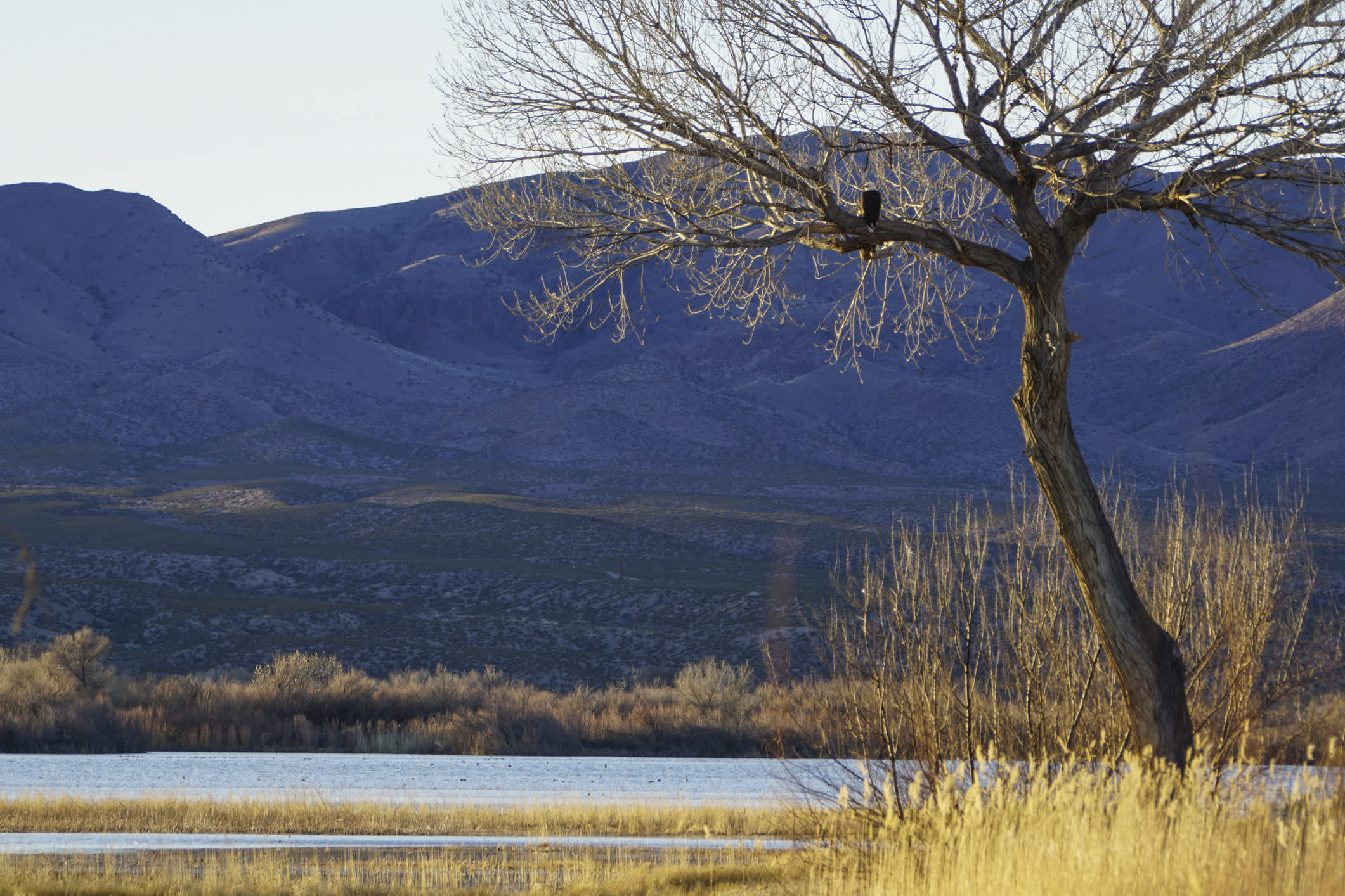 Officials crack down on local fishermen's harmful actions: 'The most ...