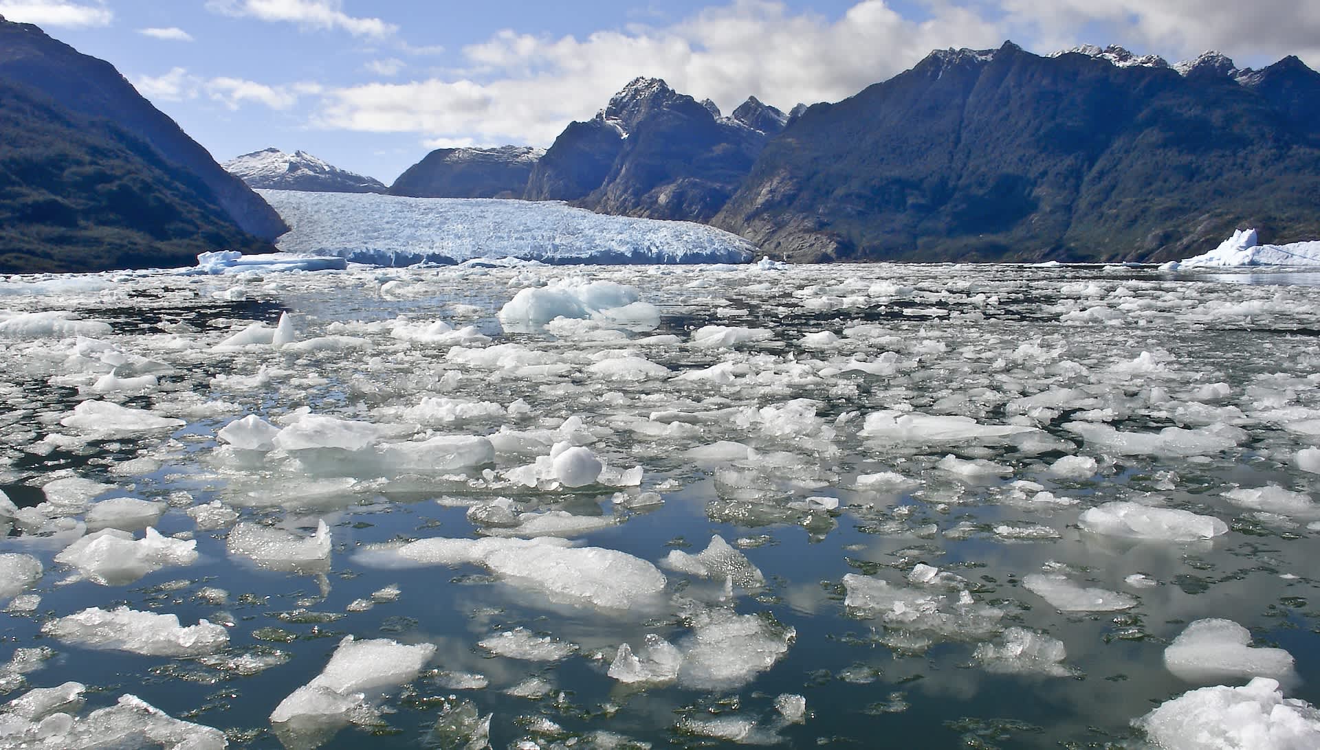 Scientists issue warning over concerning phenomenon that could become 'unstoppable ...