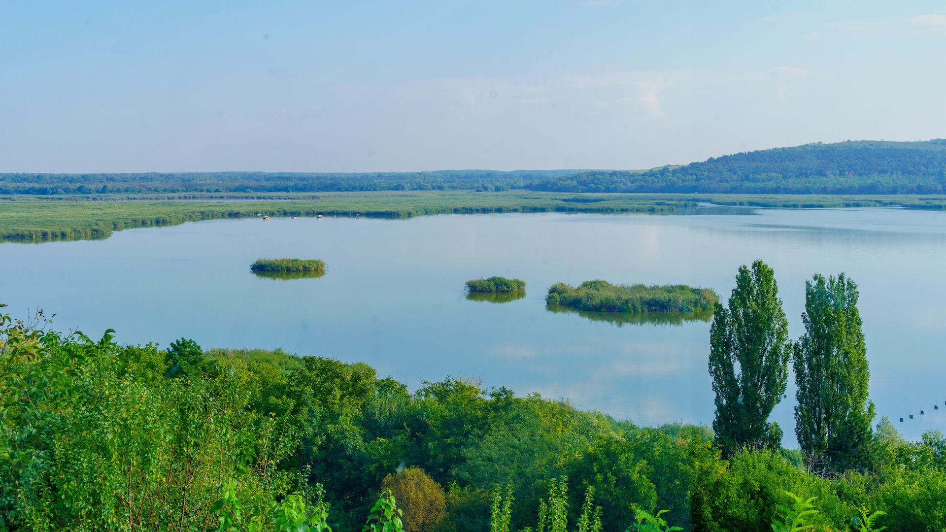 Officials celebrate after successfully reviving crucial lake: 'We can ...