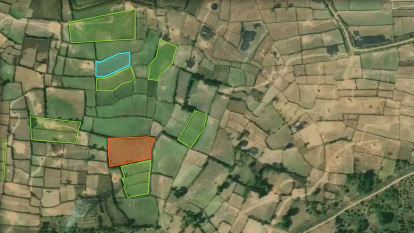 Startup develops revolutionary model that could transform food industry: 'Farmers will see ...