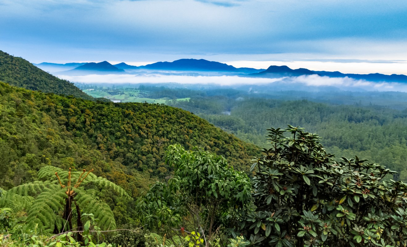 Researchers spring to action after Facebook post reveals sighting of ...