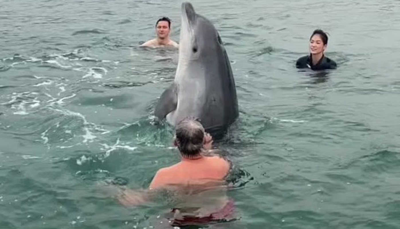 Officials issue warning as local dolphin 'Reggie' shows alarming change ...