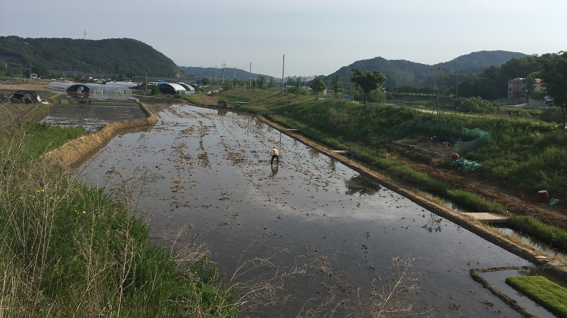 Experts raise red flags as costs soar for key grocery items: 'Difficult ...