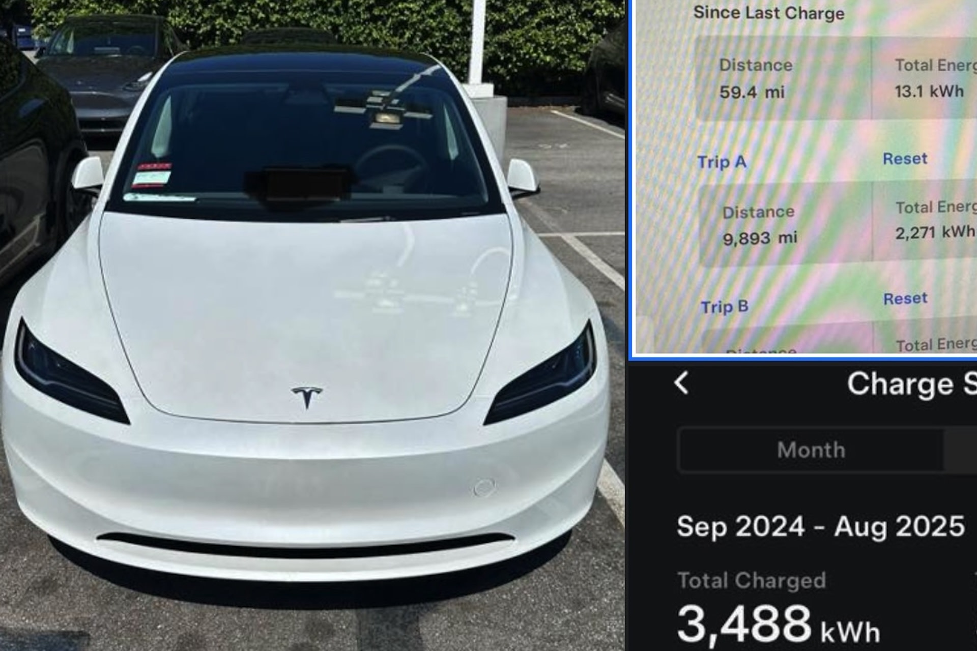 Tesla driver shares honest review after one year of owning vehicle ...