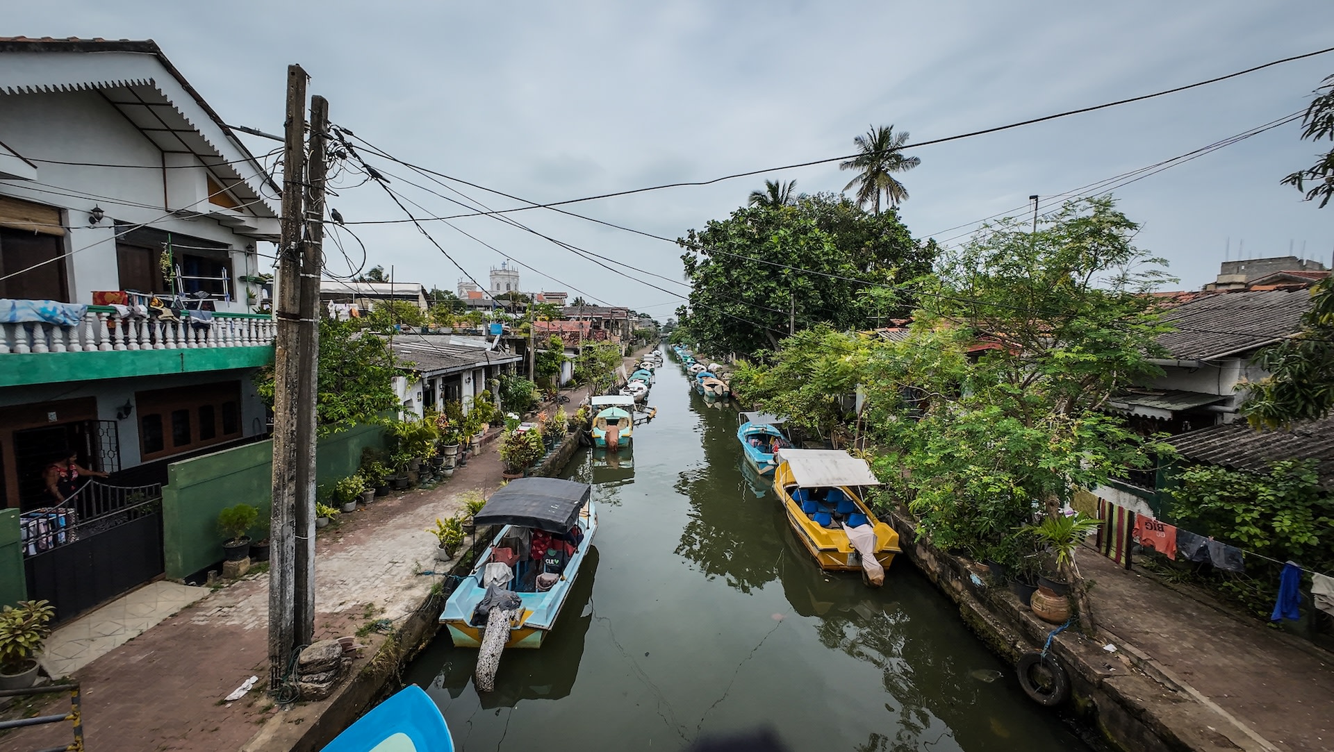 Experts issue warning as harmful creatures spread through crucial ...